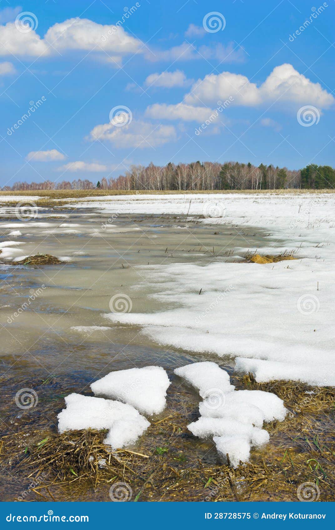 Thawing of snow stock image. Image of natural, snowbreak - 28728575