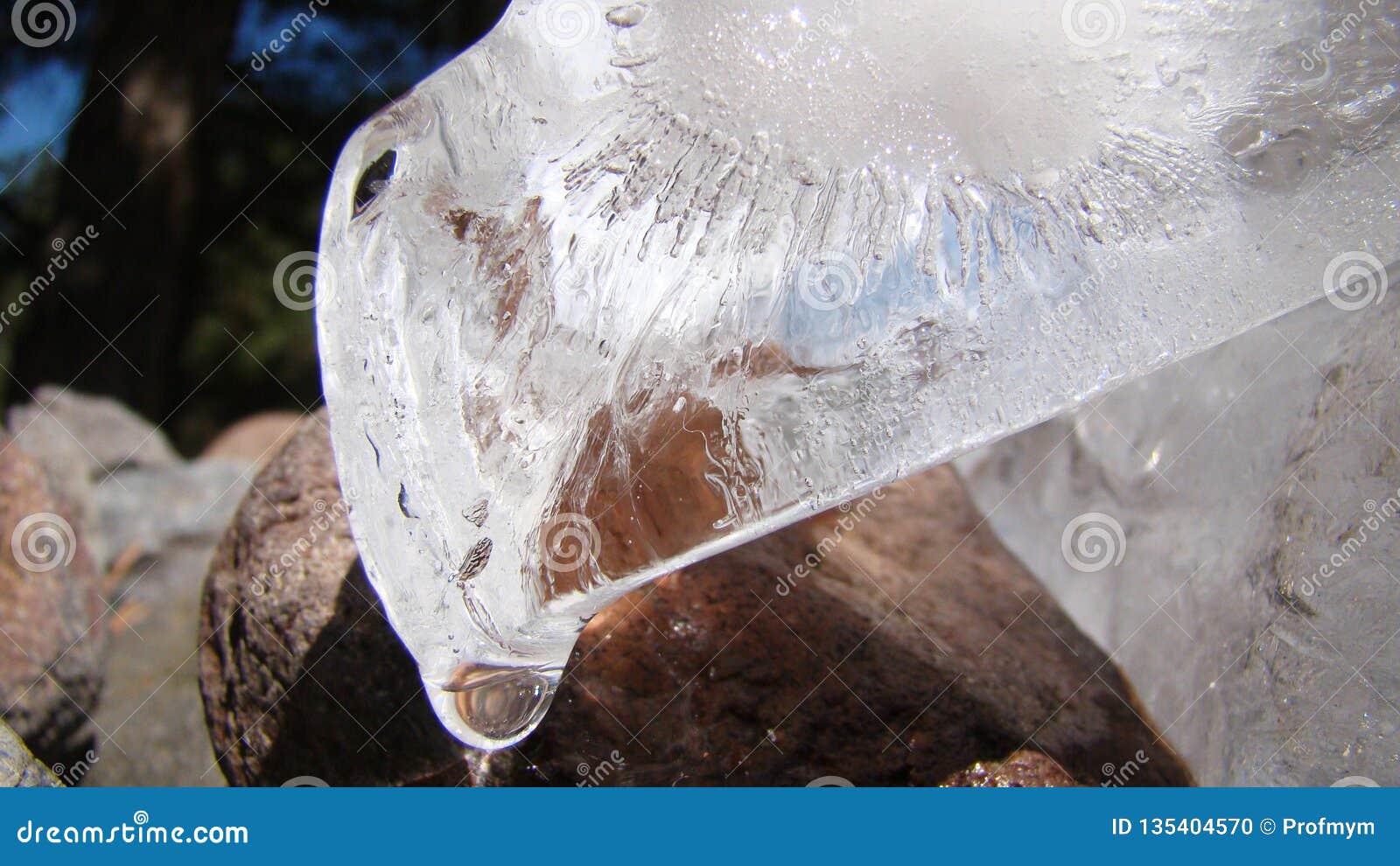 Thawing | Spring. the Beginning of the Formation of Rivers. Stock Photo ...