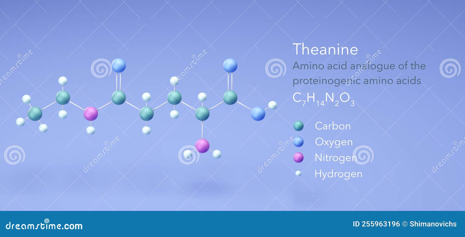 Theanine Molecular Structures Amino Acid 3d Model Structural Chemical Formula And Atoms With
