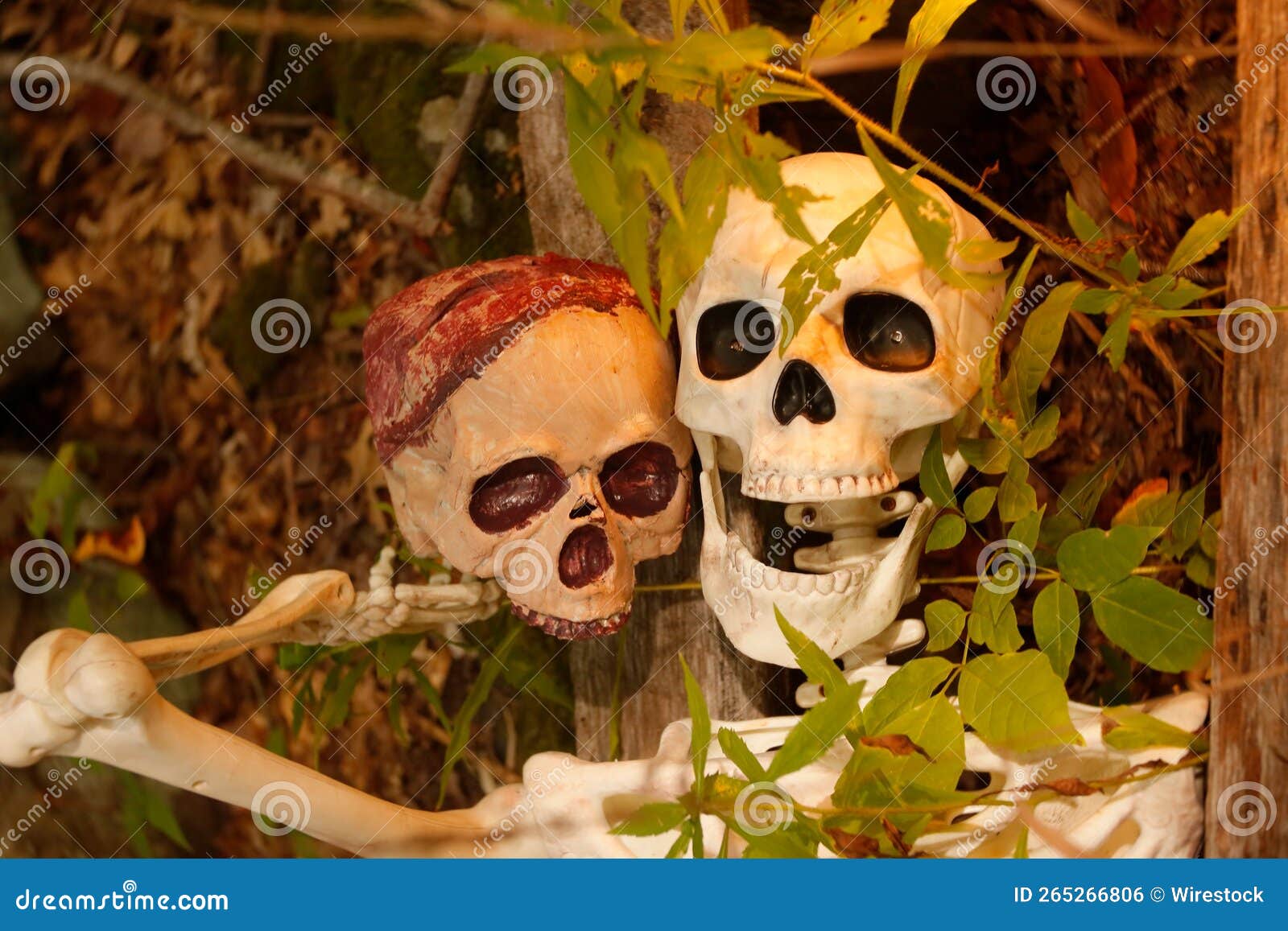Thematic Decoration with Two Human Skulls with Tree Leaves in the ...