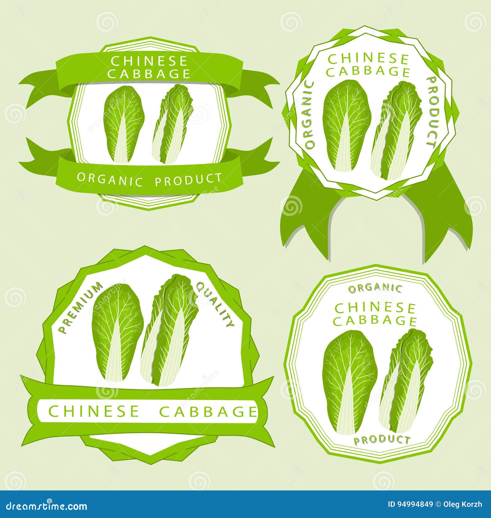 The theme chinese cabbage stock vector. Illustration of beautiful ...