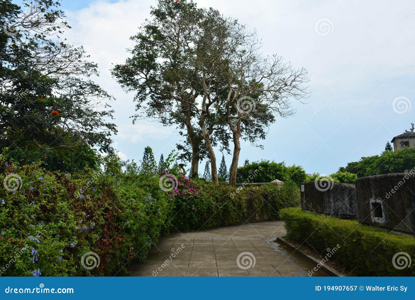 Theme Park Pathway with Surrounding Plants and Trees Stock Image ...