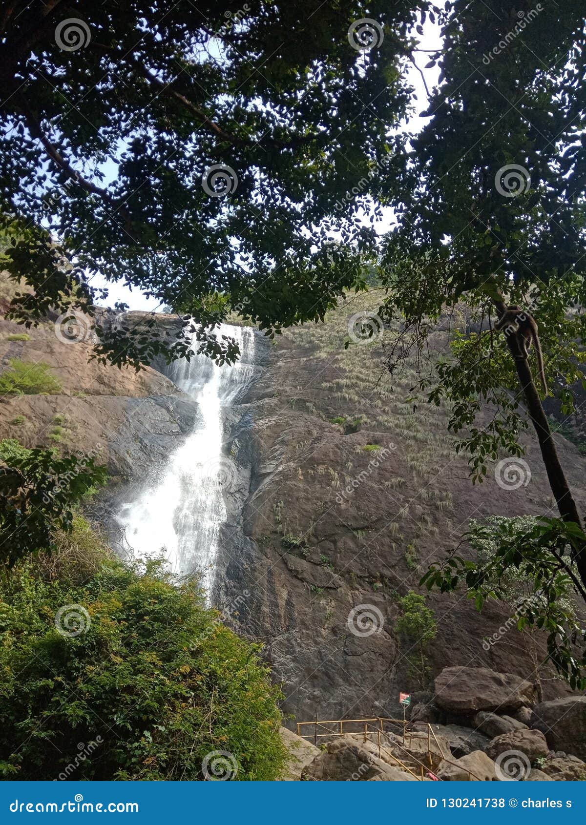 Thenmala Falls Stock Photos - Free & Royalty-Free Stock Photos from ...