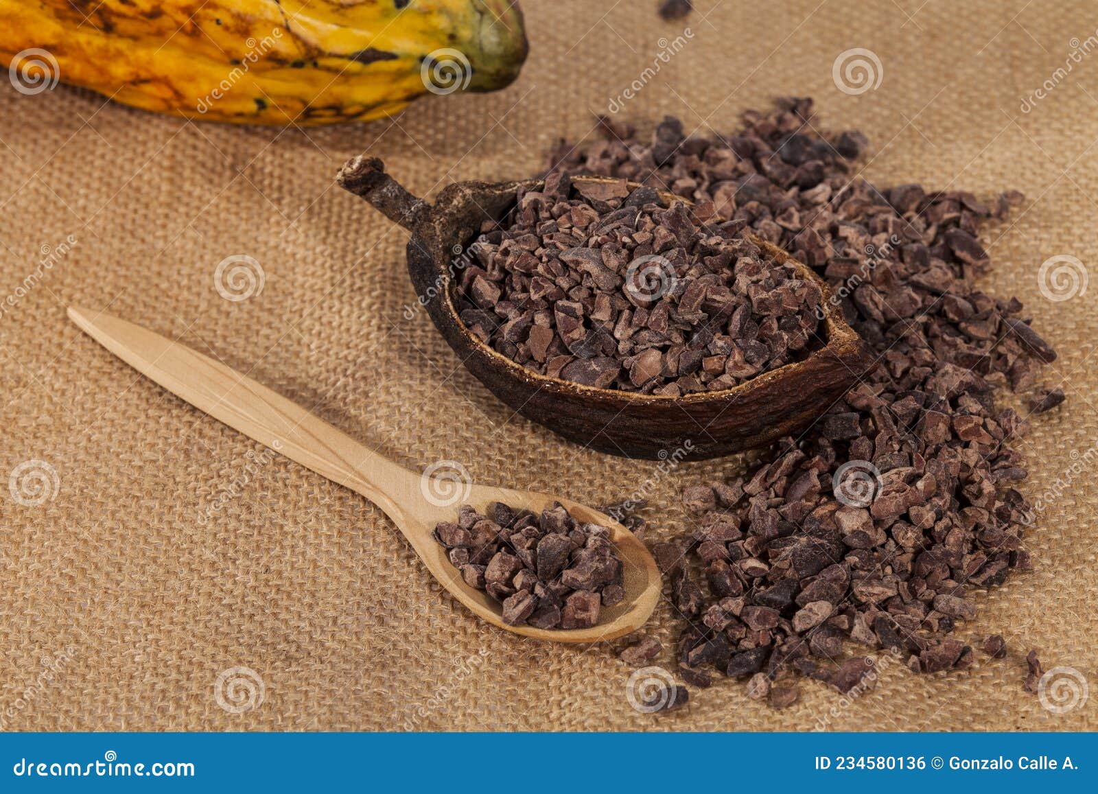 Theobroma Cacao - Dried Crushed Cocoa Beans with Fruit Stock Photo ...