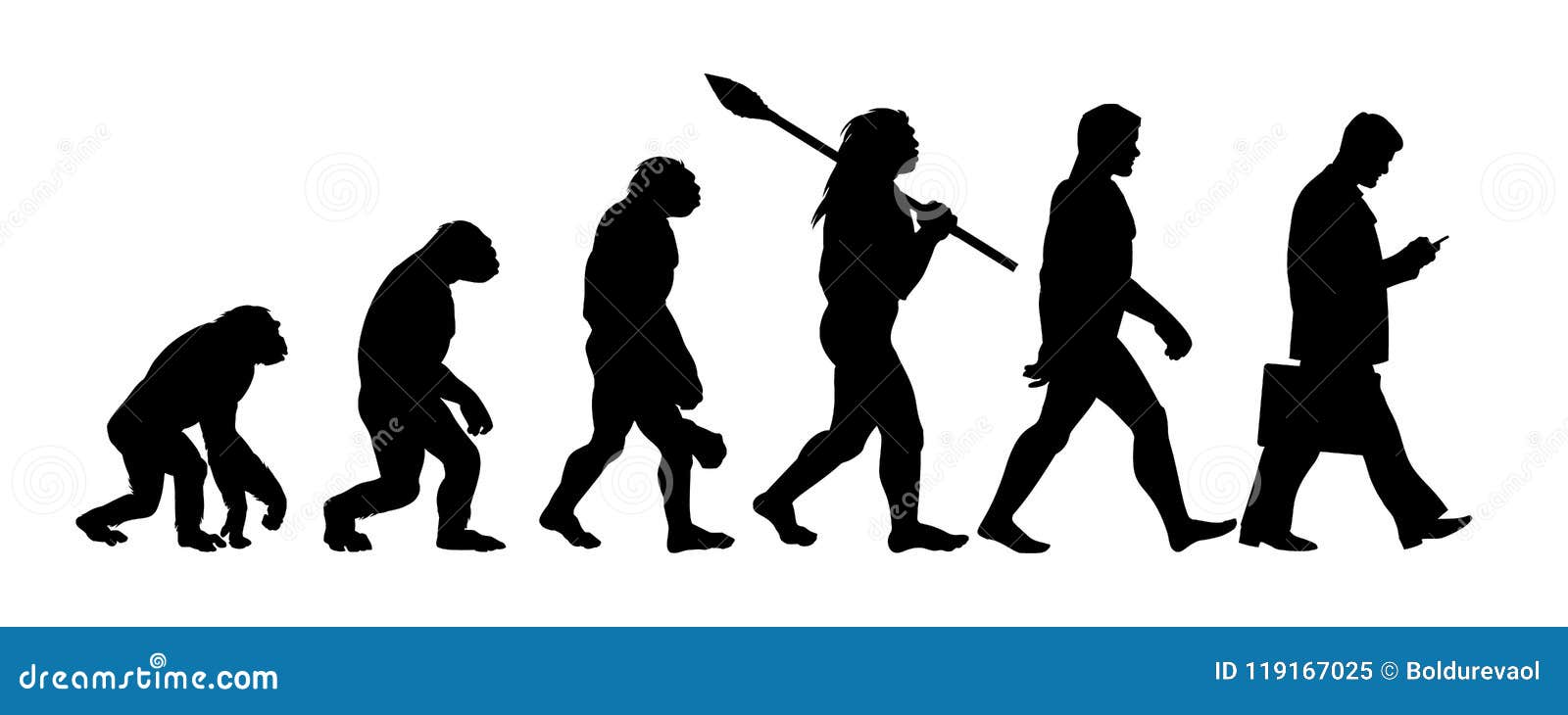 Clipart Evolution Of Man Timeline