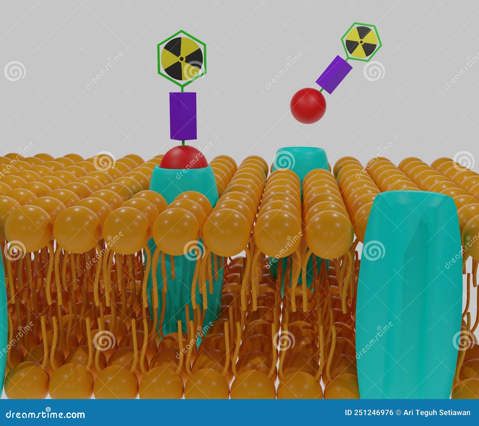 A Radionuclide is Combined with a Targeting Vector (Binding Molecule ...