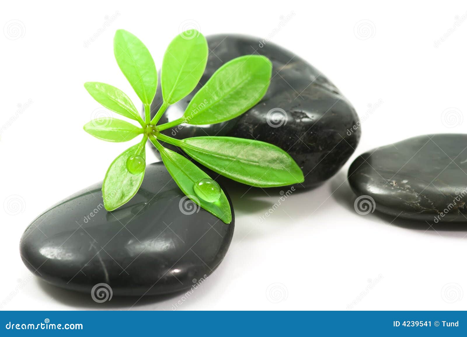 Therapy stones stock image. Image of green, black, smooth - 4239541