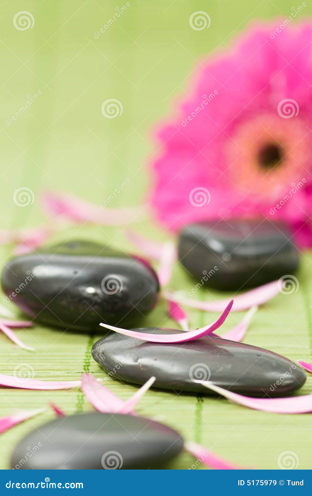 Therapy Stones Picture. Image: 5175979