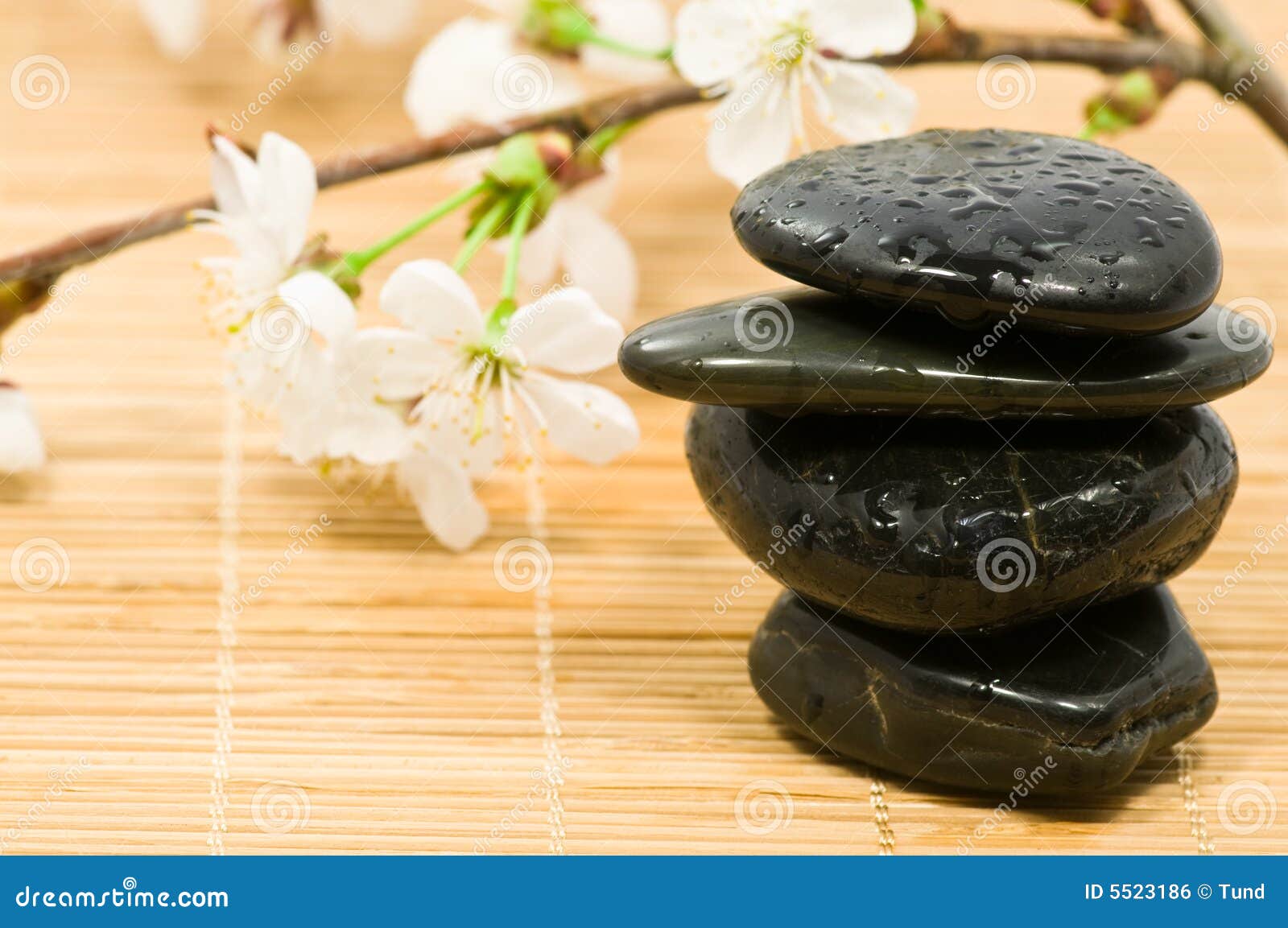 Therapy stones stock photo. Image of nature, wellness - 5523186