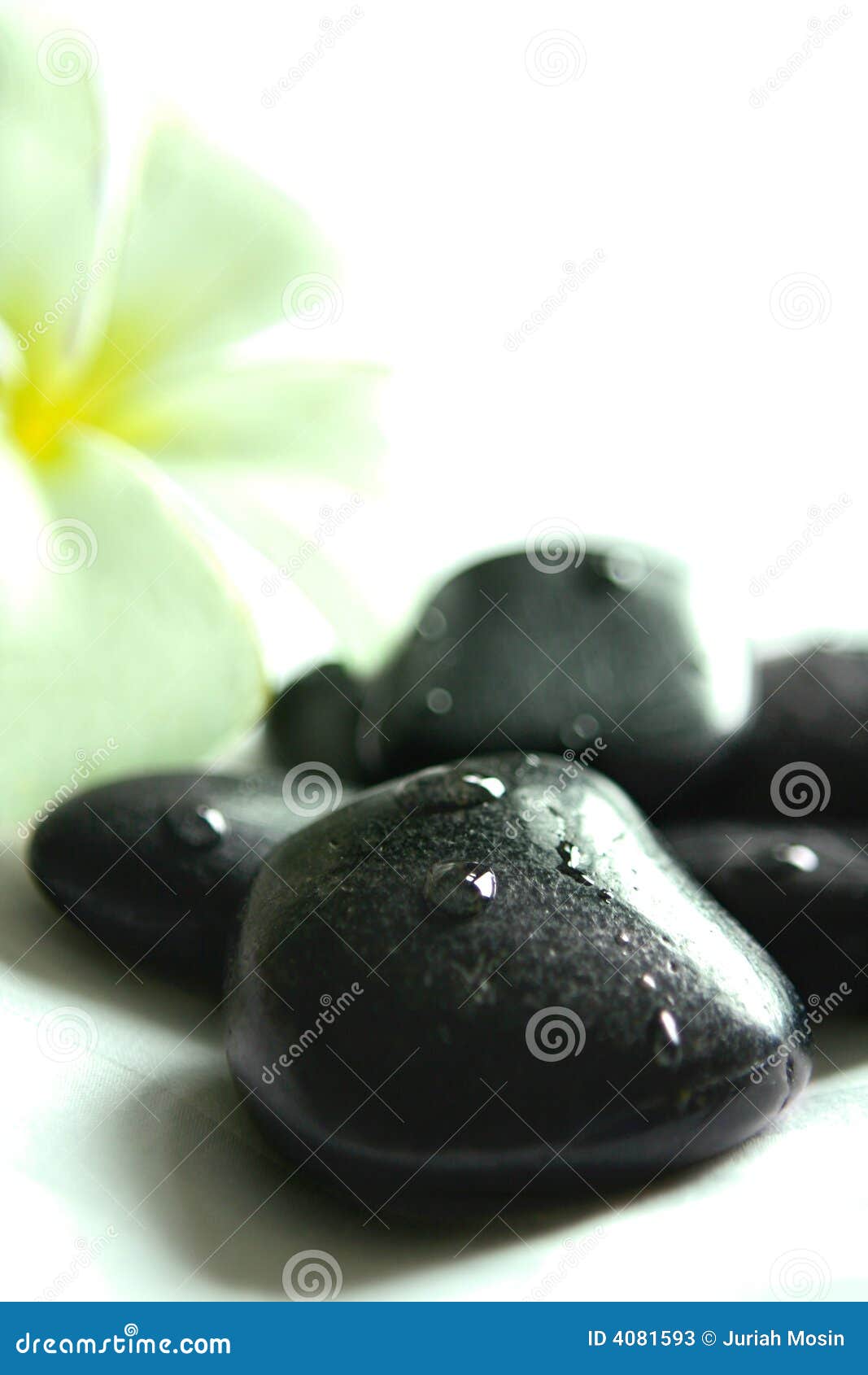 Therapy Stones with Water Droplets Stock Image - Image of background ...
