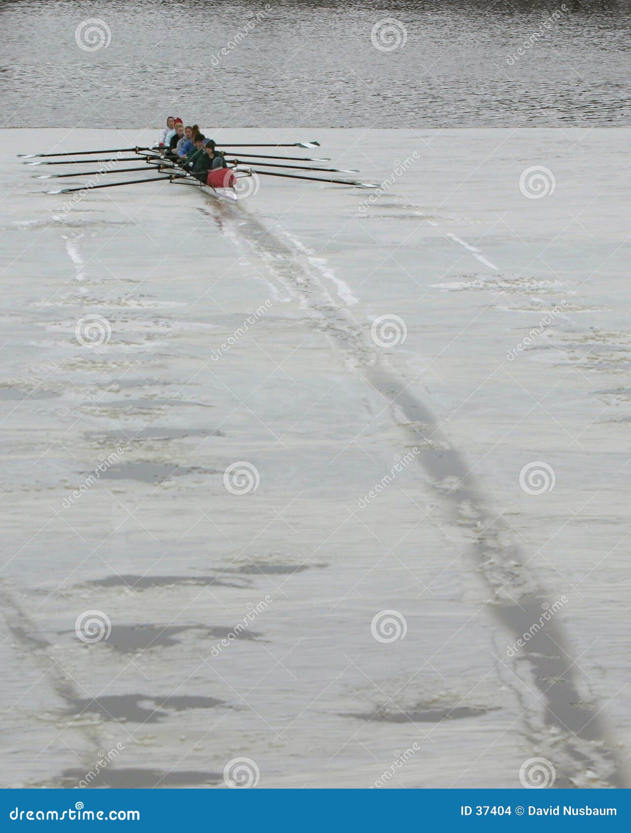 Almost there stock photo. Image of rowing, team, water, oars - 37404