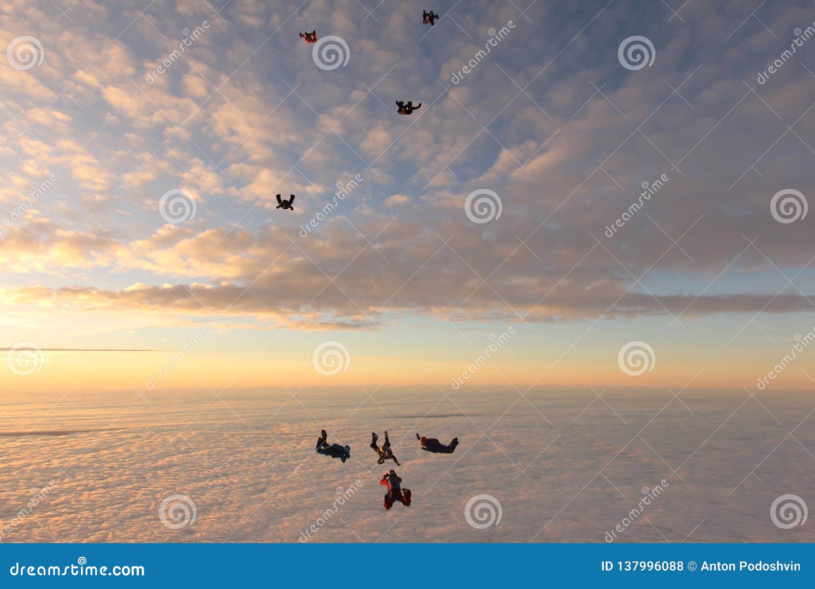 Formation Skydiving. Skydivers are Falling in the Sunset Sky. Stock ...