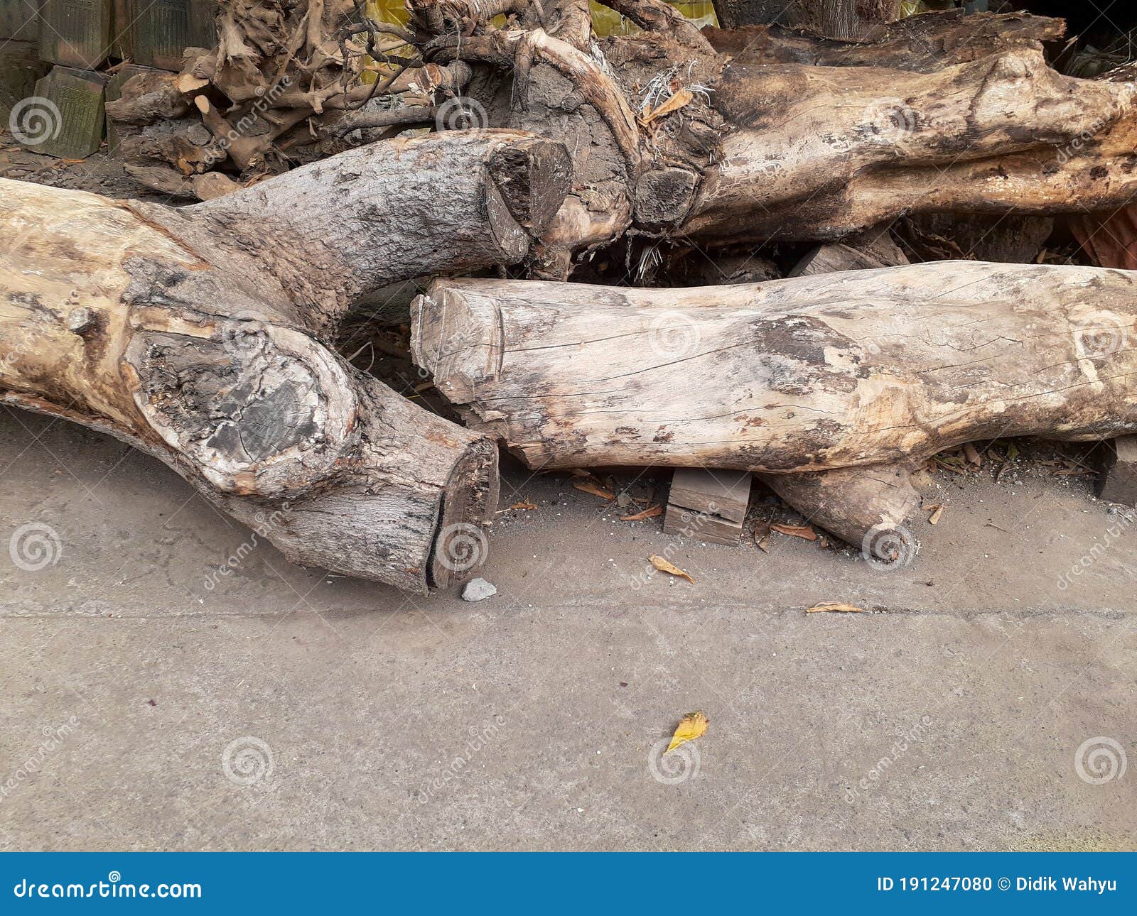 There are a Few Pieces of Mango Tree Trunk beside the Road Stock Photo ...