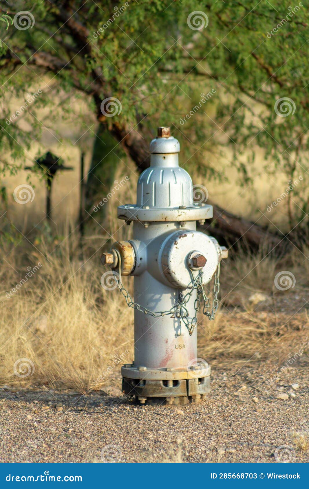 There is a Fire Hydrant Standing on the Ground Near Trees Stock Image ...