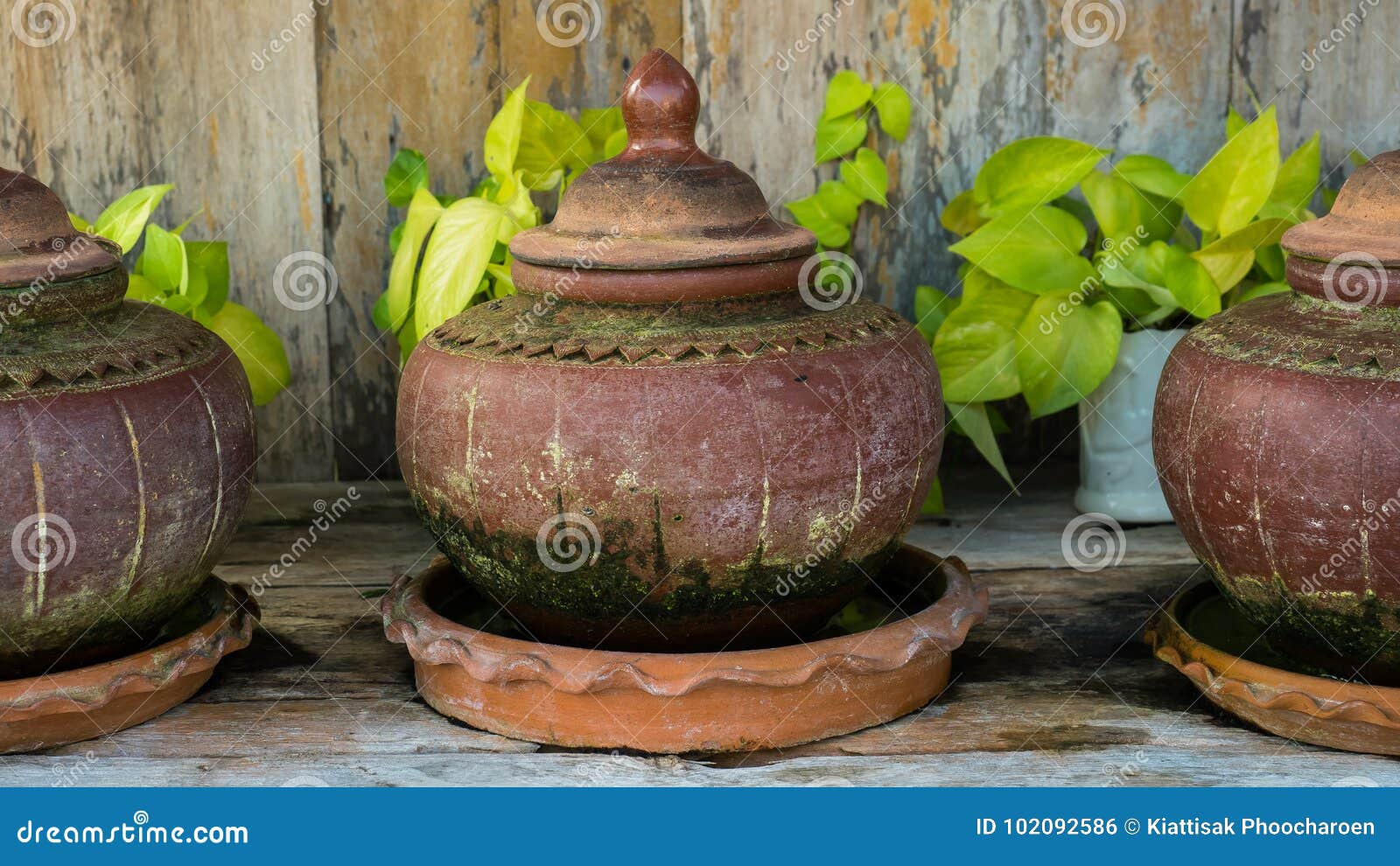 There are Many Clay Pots for Planting Trees Stock Photo - Image of ...