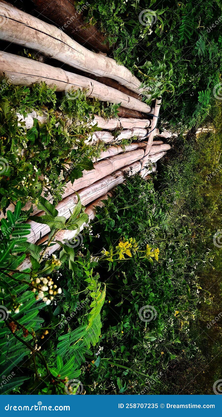 There are Many Things we Can Learn from Nature, Even we Will Never Have ...