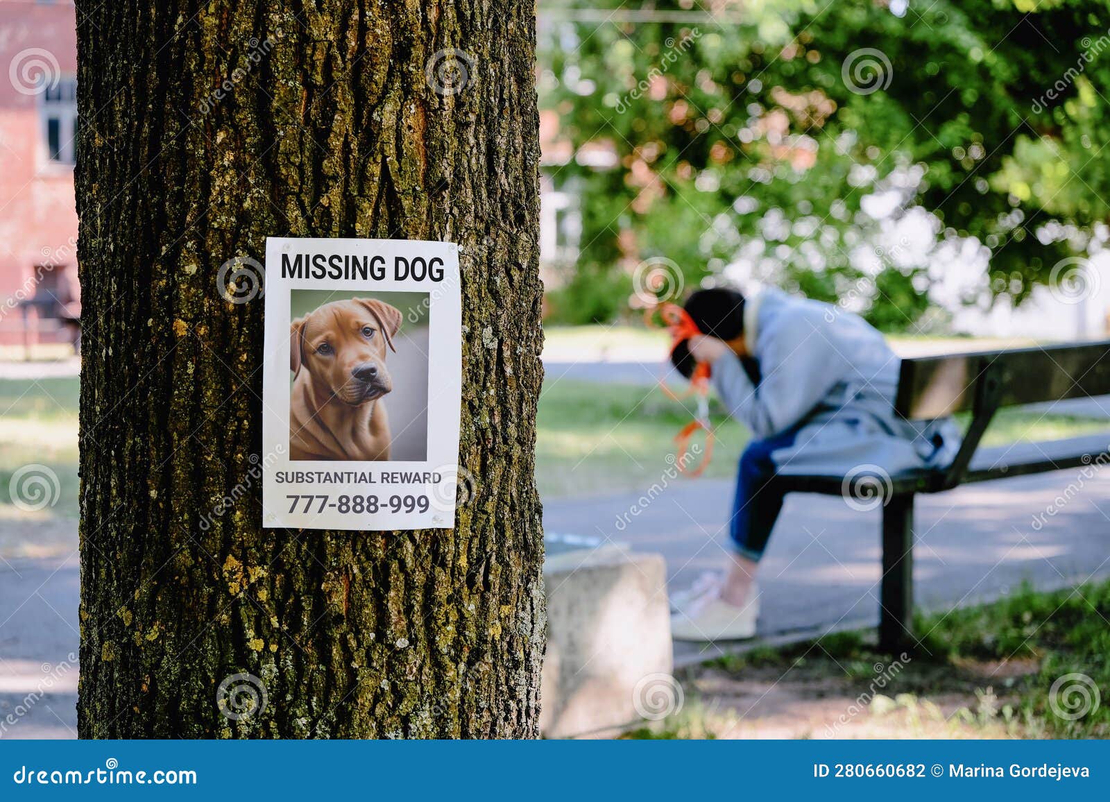 There is a Missing Dog Notice on a Tree. in the Background, a ...