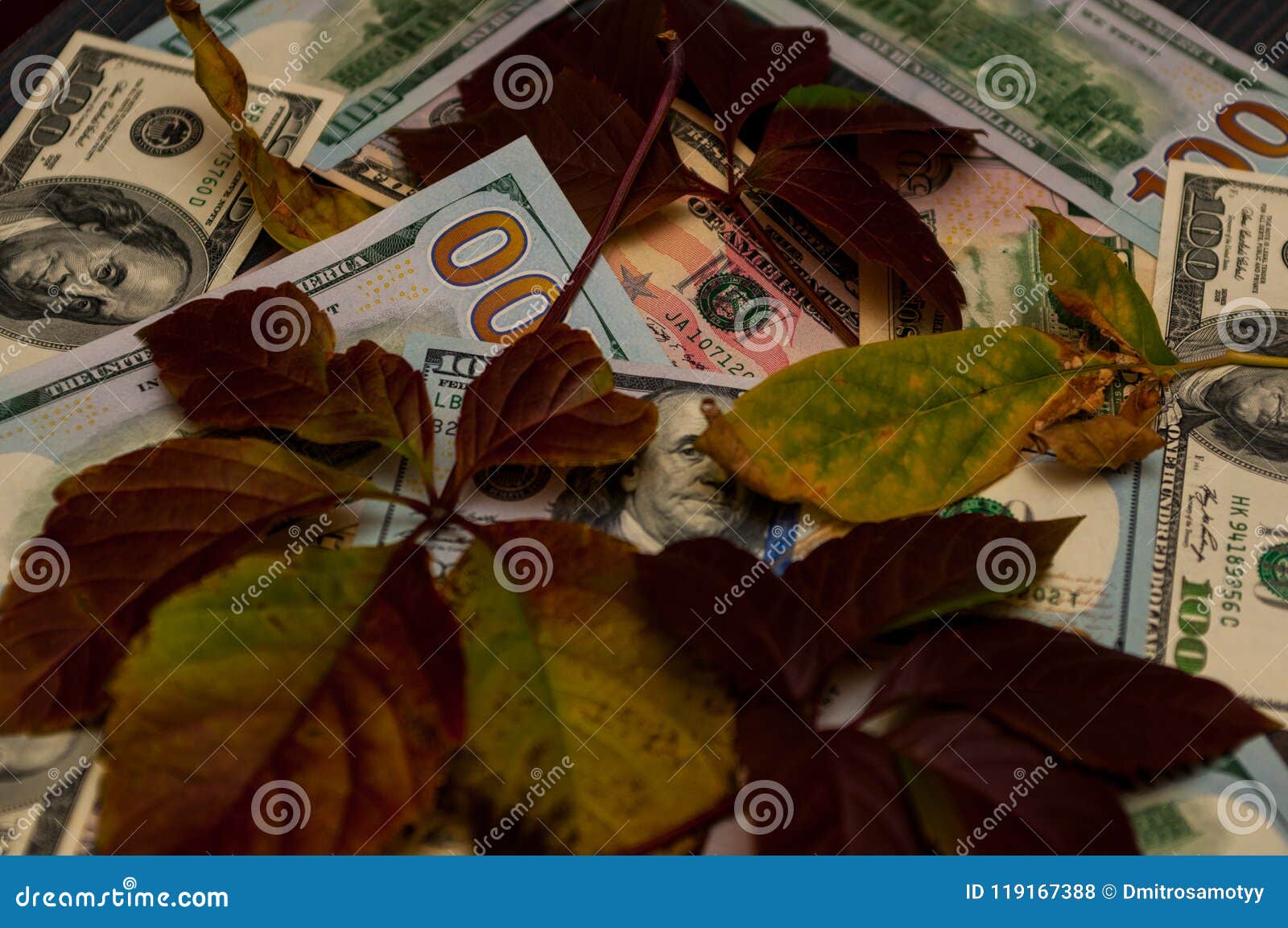 There is not much money stock photo. Image of eucalyptus - 119167388