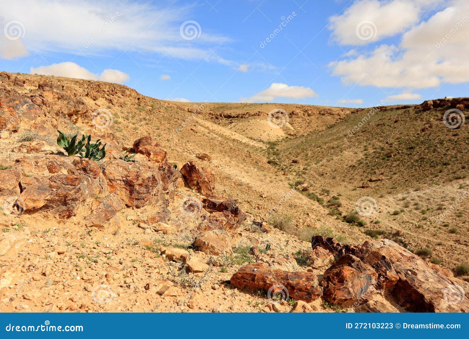 A Dry Stream Bed between Two Hills in a Desert Stock Image - Image of ...