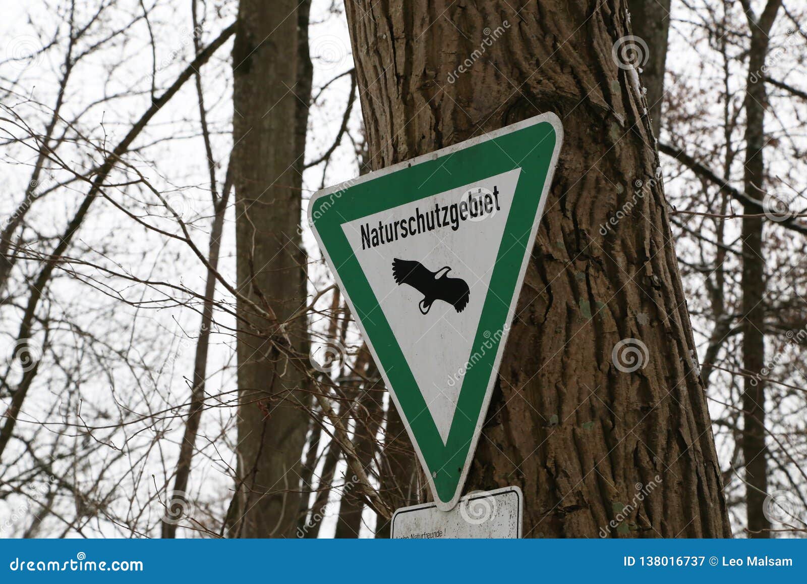 There is a Sign on the Tree: Nature Reserve Stock Image - Image of ...