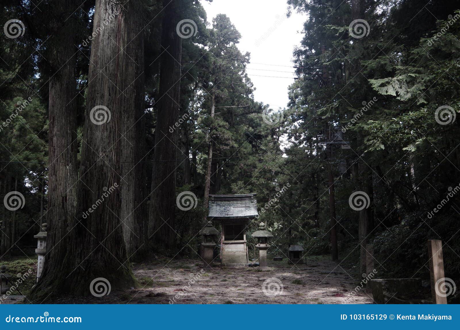 Small hut in the forest stock image. Image of landmark - 103165129