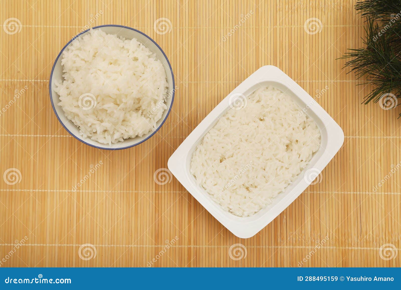 Packaged Rice is Rice that Has Been Packed in an Airtight Container so ...