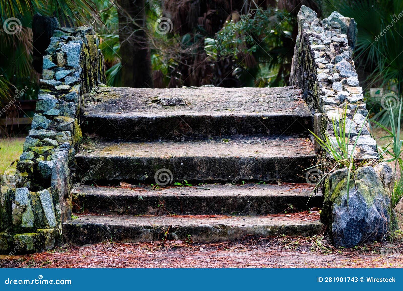 There is Some Steps Going Up the Stone Steps of a Set of Stairs Stock ...