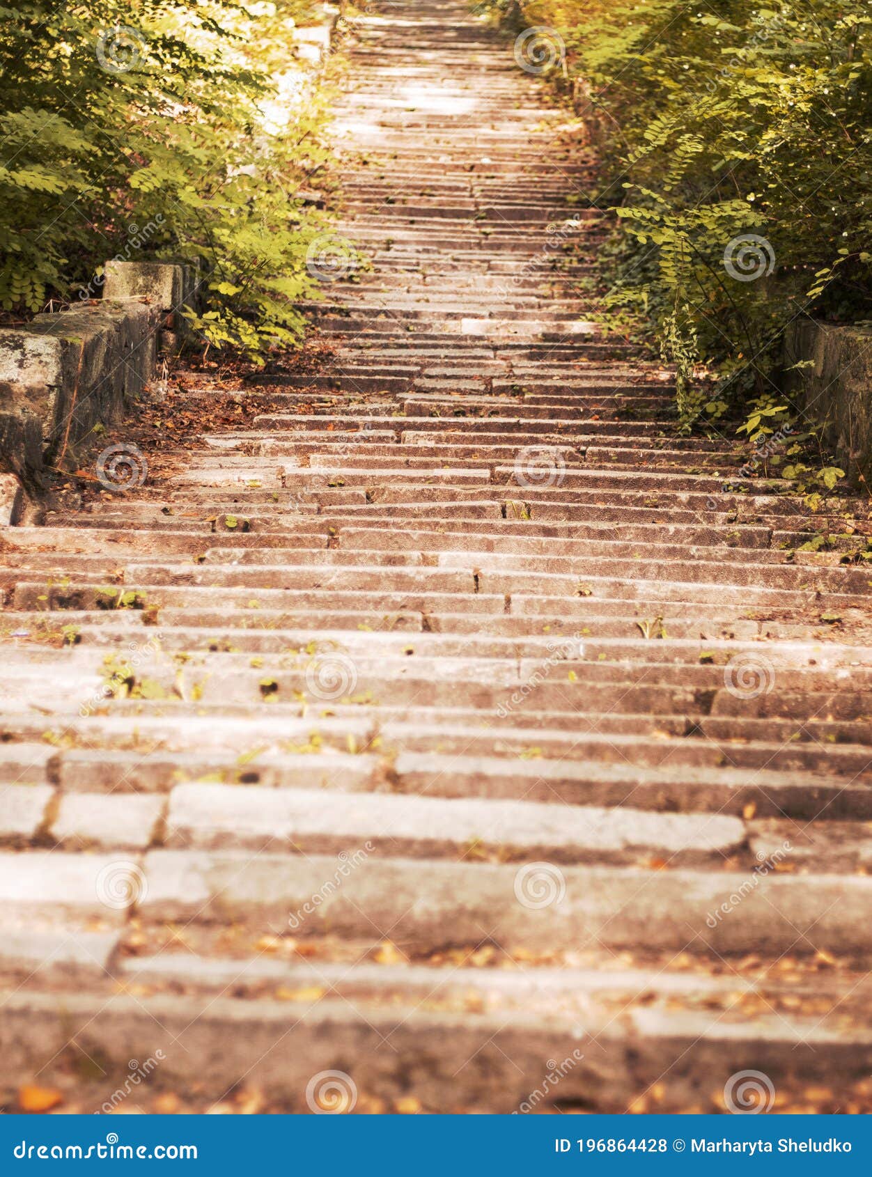 There are Steps in the Park. Stock Photo - Image of yellow, nature ...