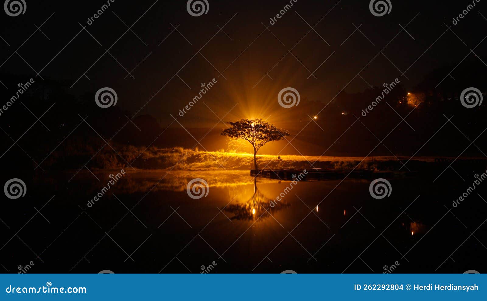 There is Still Light Even in the Dark Stock Photo - Image of tree ...