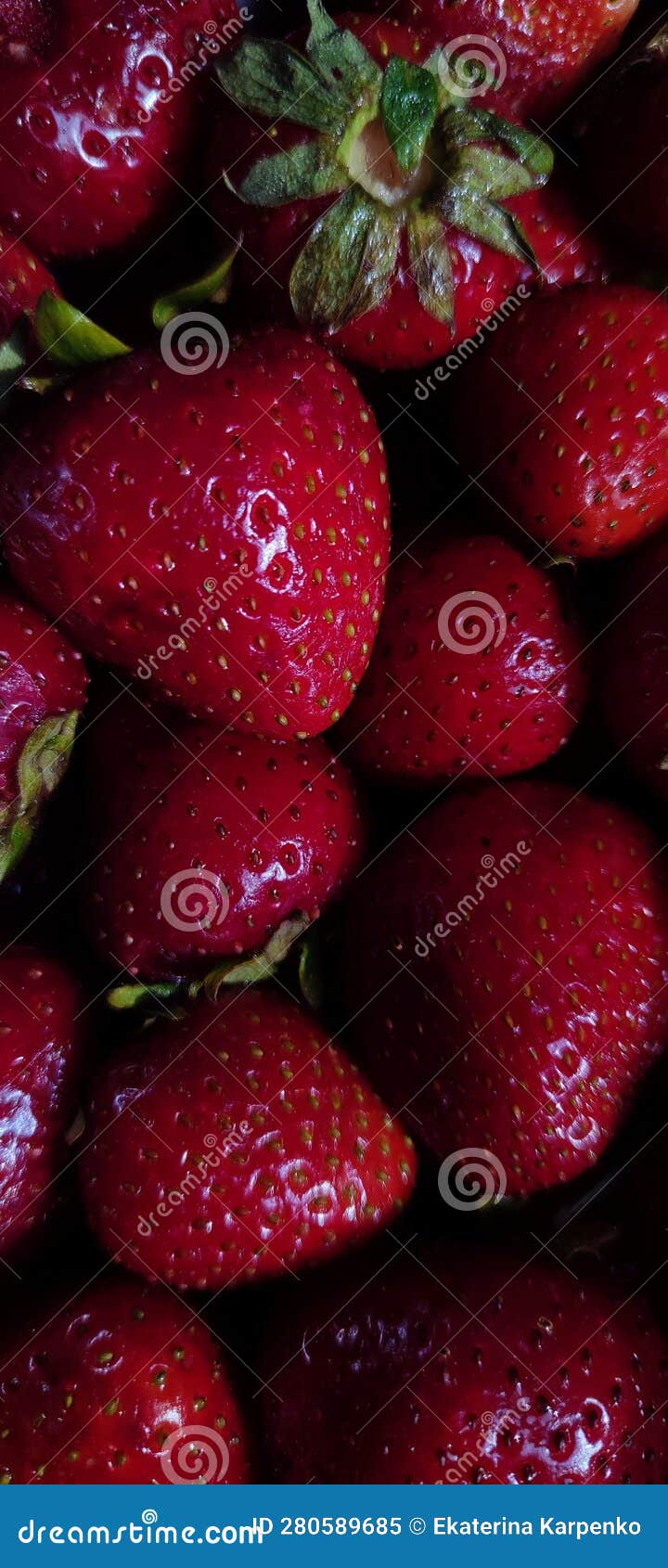 There are Strawberries All Over the Screen Stock Image - Image of ...