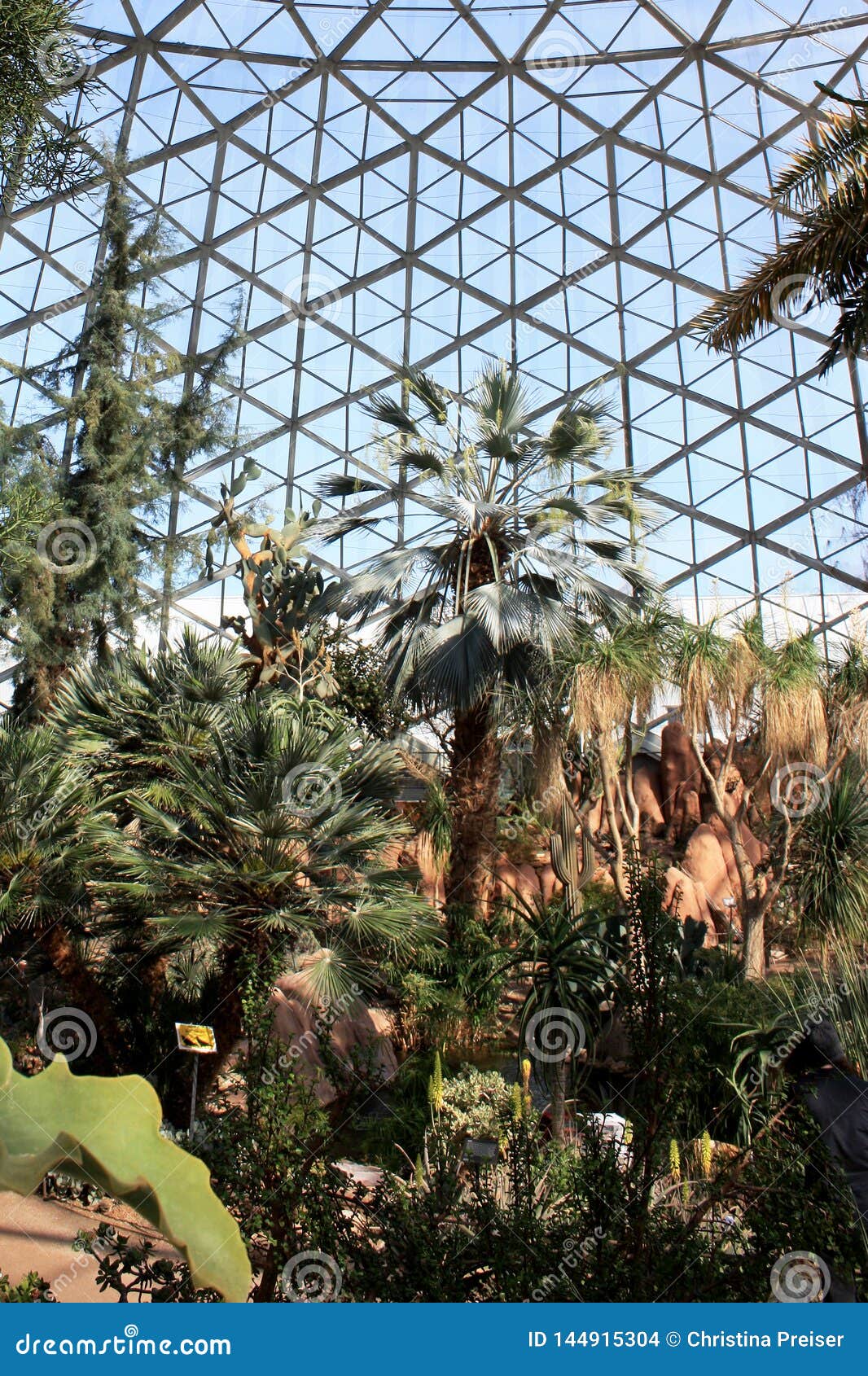 Domes Of Conservatory Of Flowers, A Botanical Garden In Golden Gate ...