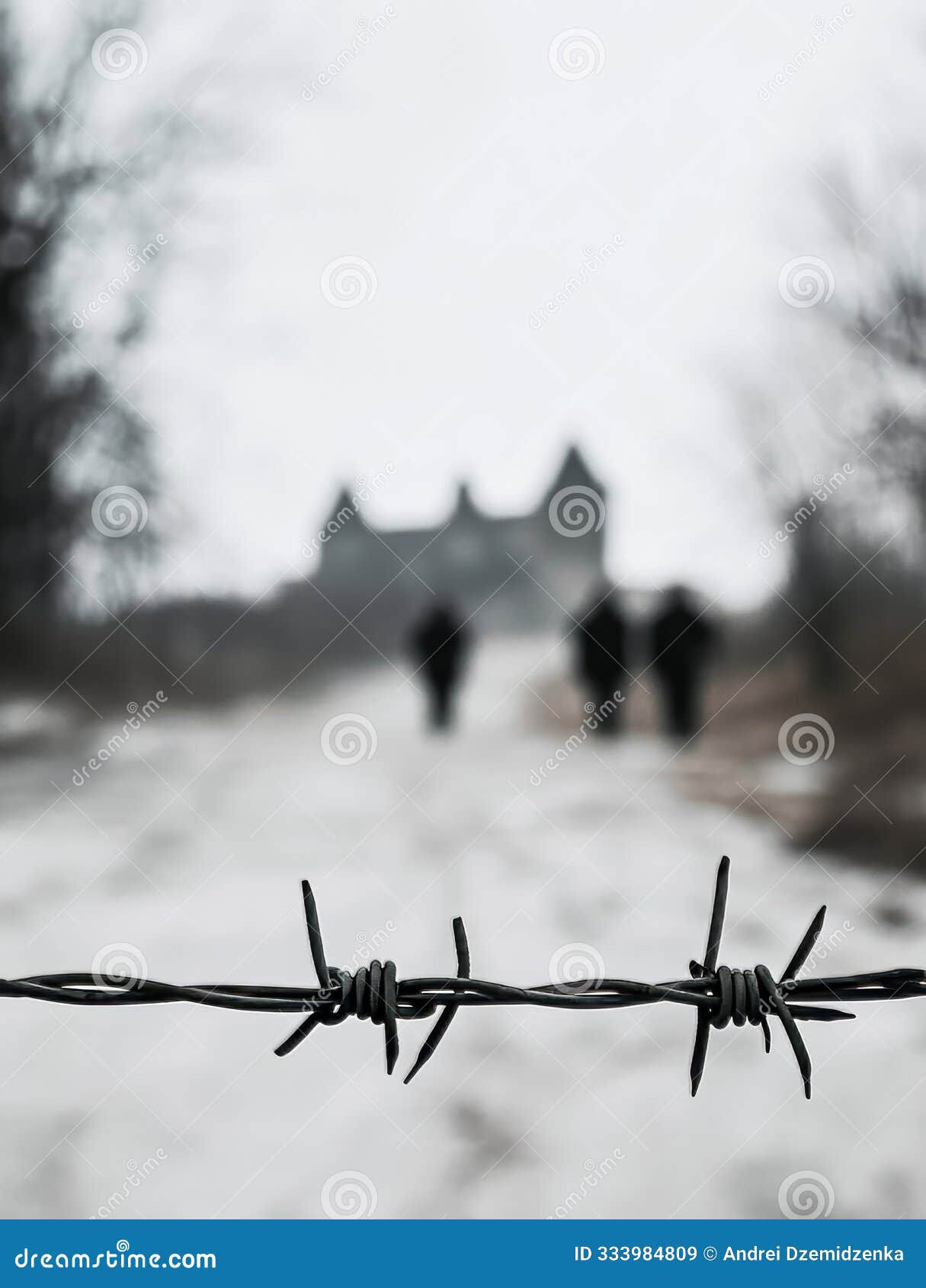 There are Three Dramatic Lines of Wire Thrown into the Prison Camp ...