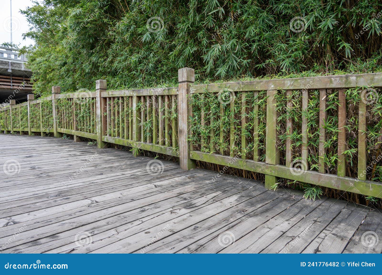 There is a Wooden Plank Road in the Park Stock Photo - Image of ...