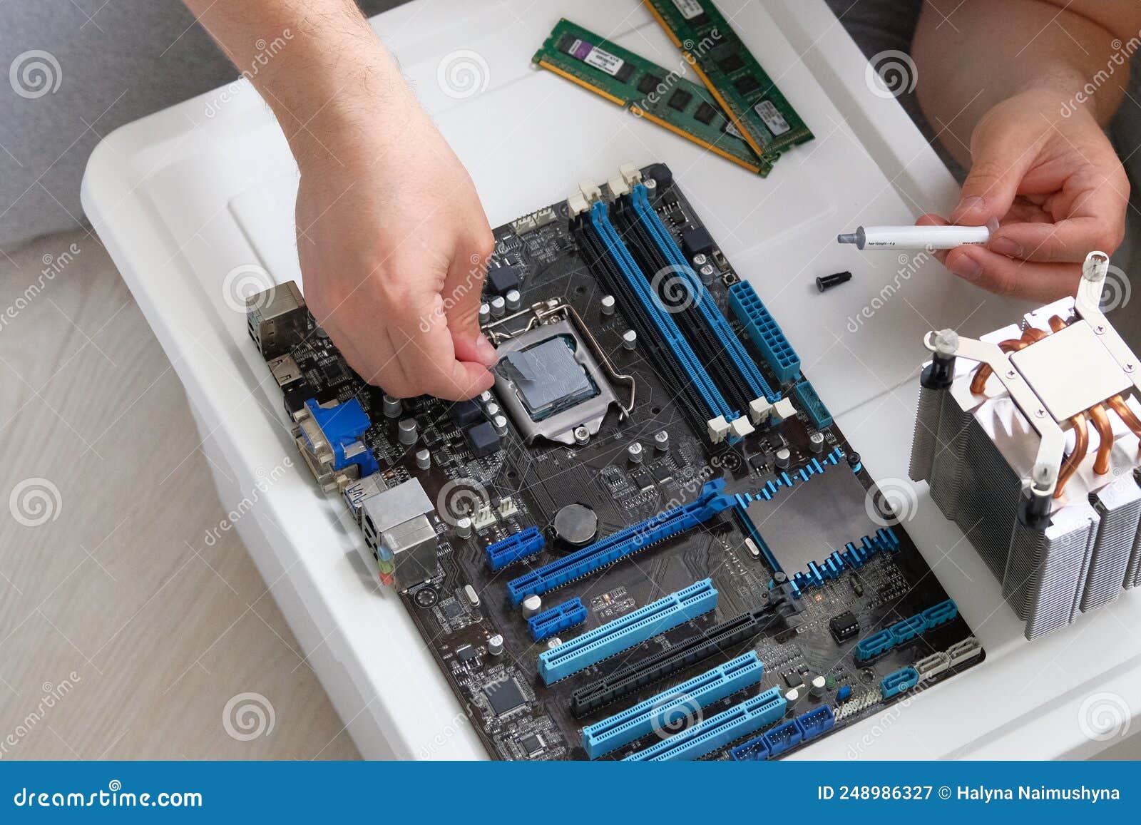Thermal Grease for Computer. Male Hand Applied Thermal Paste To ...