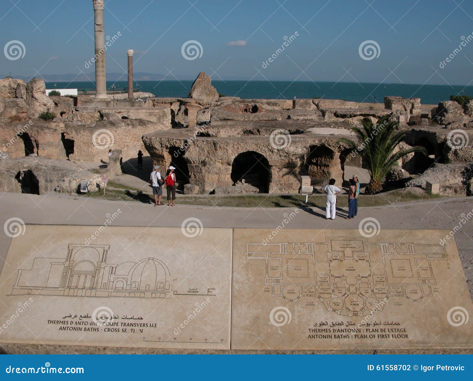 Antoninus Pius Roman Emperor Coins Editorial Photo | CartoonDealer.com ...