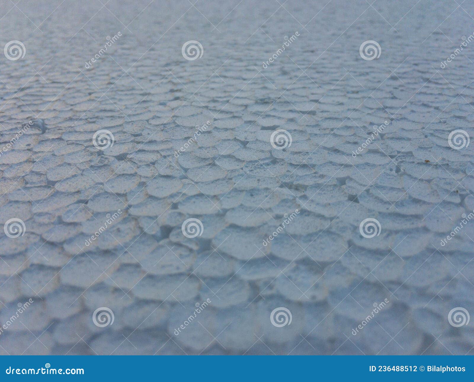 Thermocol Sheet Photos - Free & Royalty-Free Stock Photos from Dreamstime