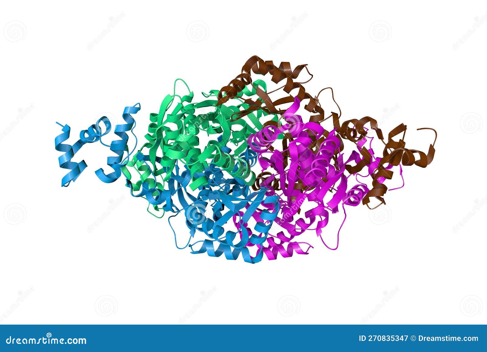 Thermodynamic And Structure Guided Design Of Statin HMG-CoA Reductase ... Thermodynamic And Structure Guided Design Of Statin HMG-CoA Reductase ...