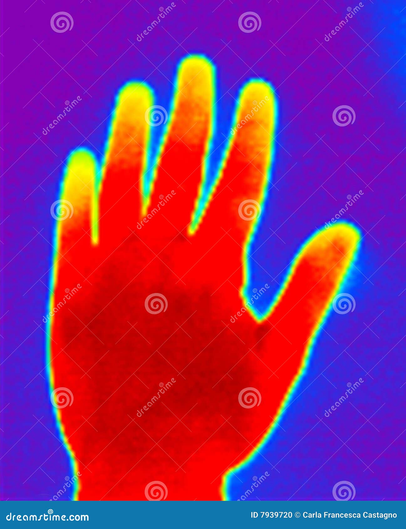 Thermograph-Hand stock photo. Image of lights, thermograph - 7939720