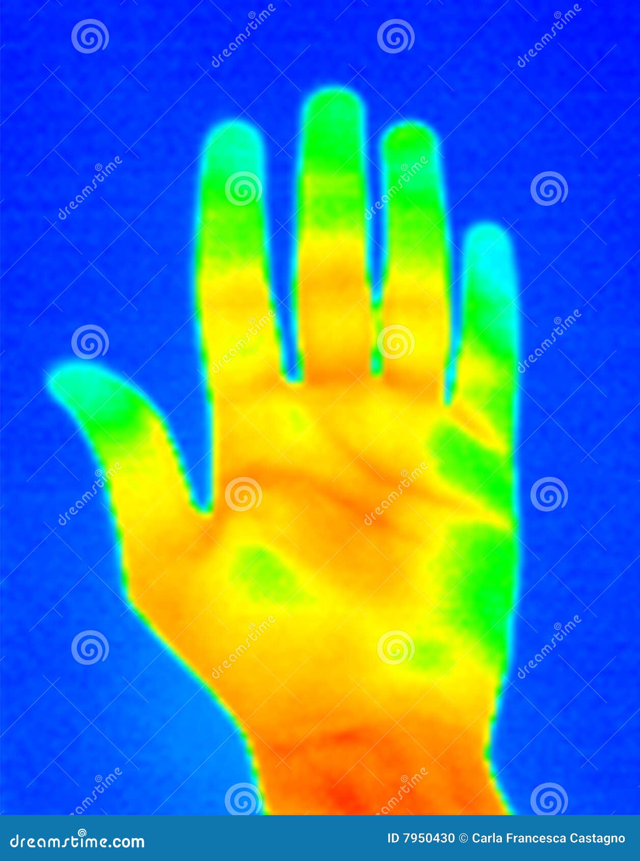 Hand Palm, Giving Red Heart As Warm-hearted Donator. Day Of Valentine ...