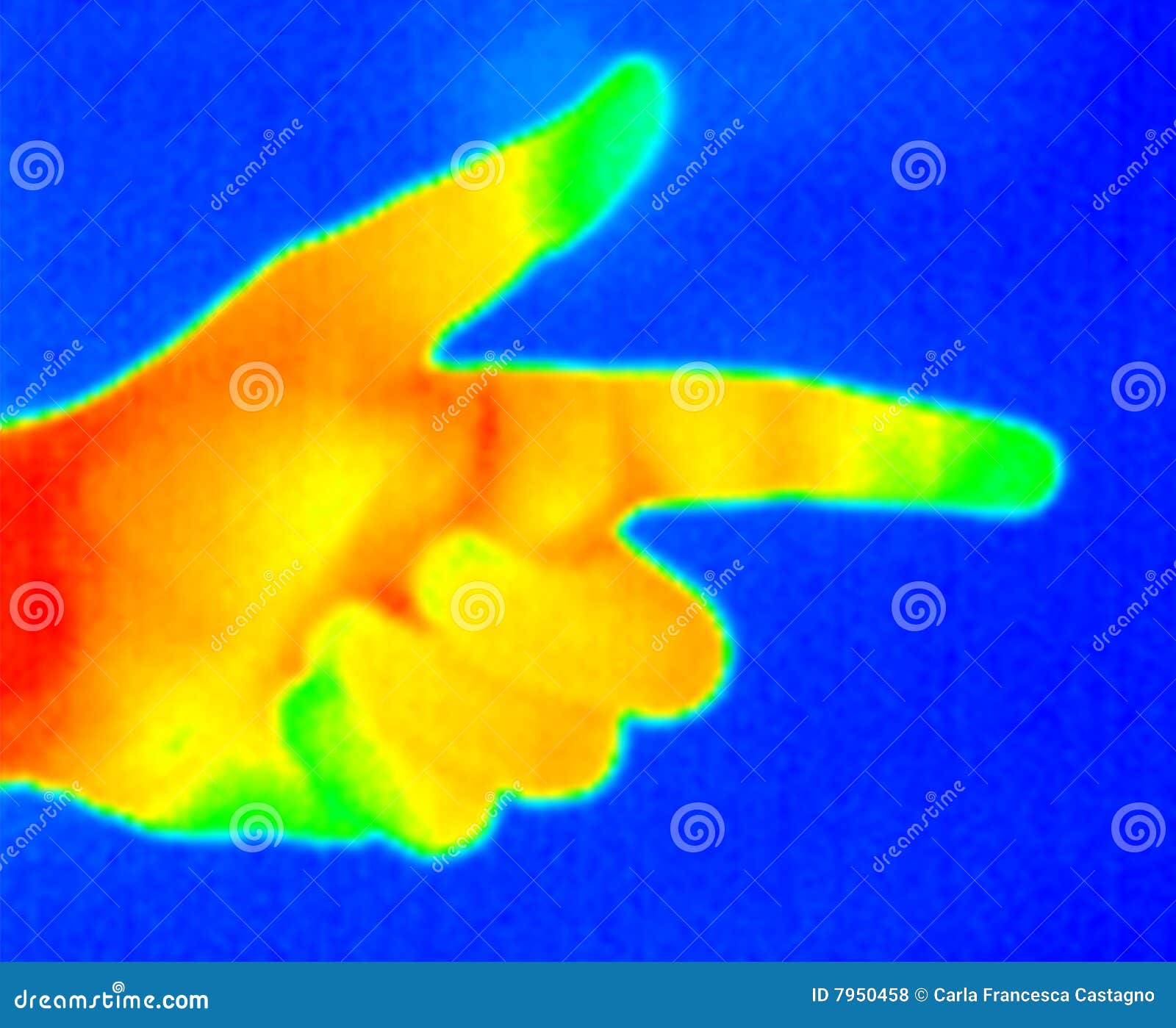 Thermographe-Pointage De La Main 2 Photo stock - Image du main, doigts ...
