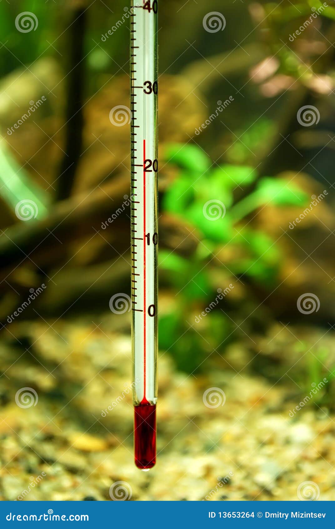 Thermometer stock photo. Image of range, single, comfortable - 13653264