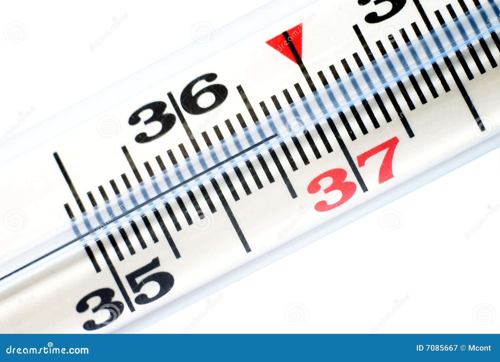 Thermometer stock image. Image of thermometer, temperature - 7085667