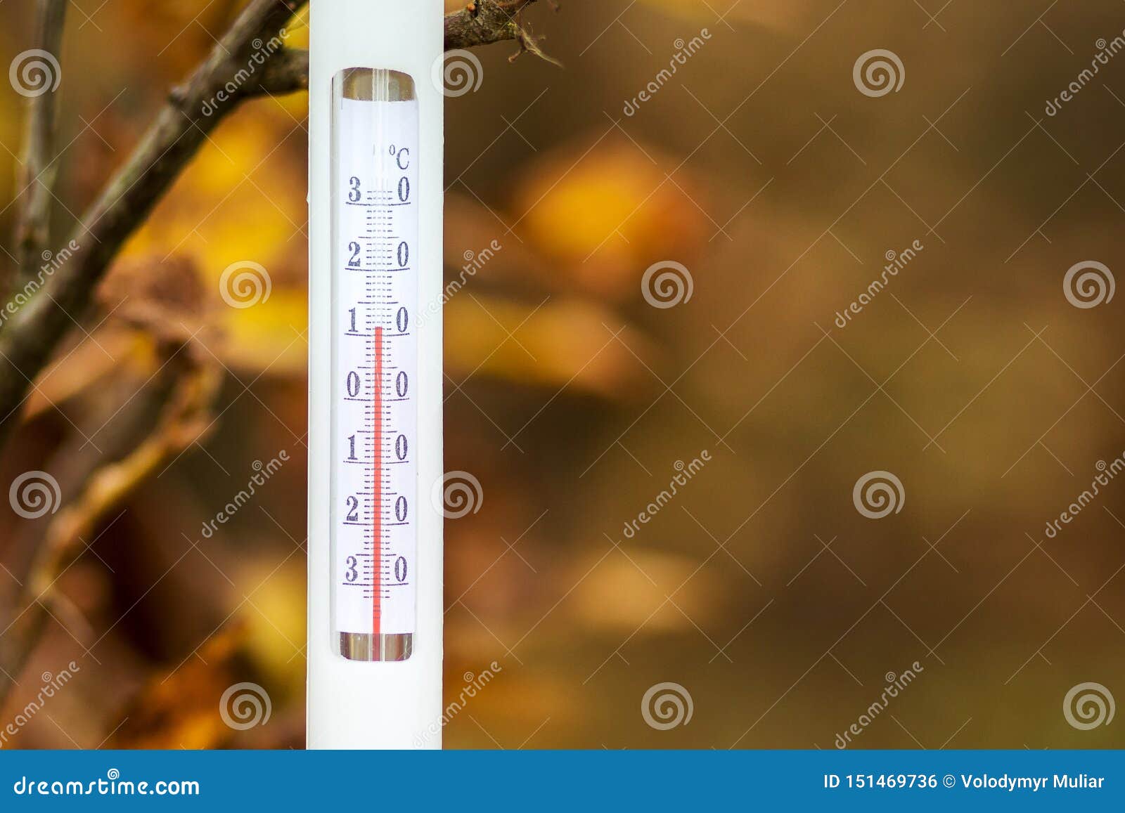 The Thermometer on the Background of Autumn Leaves Shows a Temperature ...
