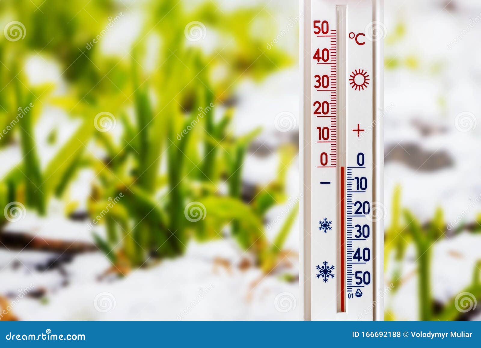 A Thermometer on a Background of Grass Covered with Snow Shows Zero ...