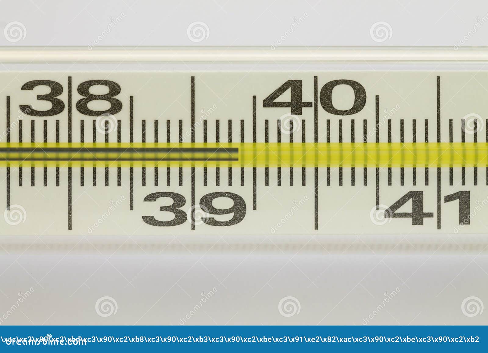 Thermometer Close Up. Medical Device For Measuring Body Temperature ...