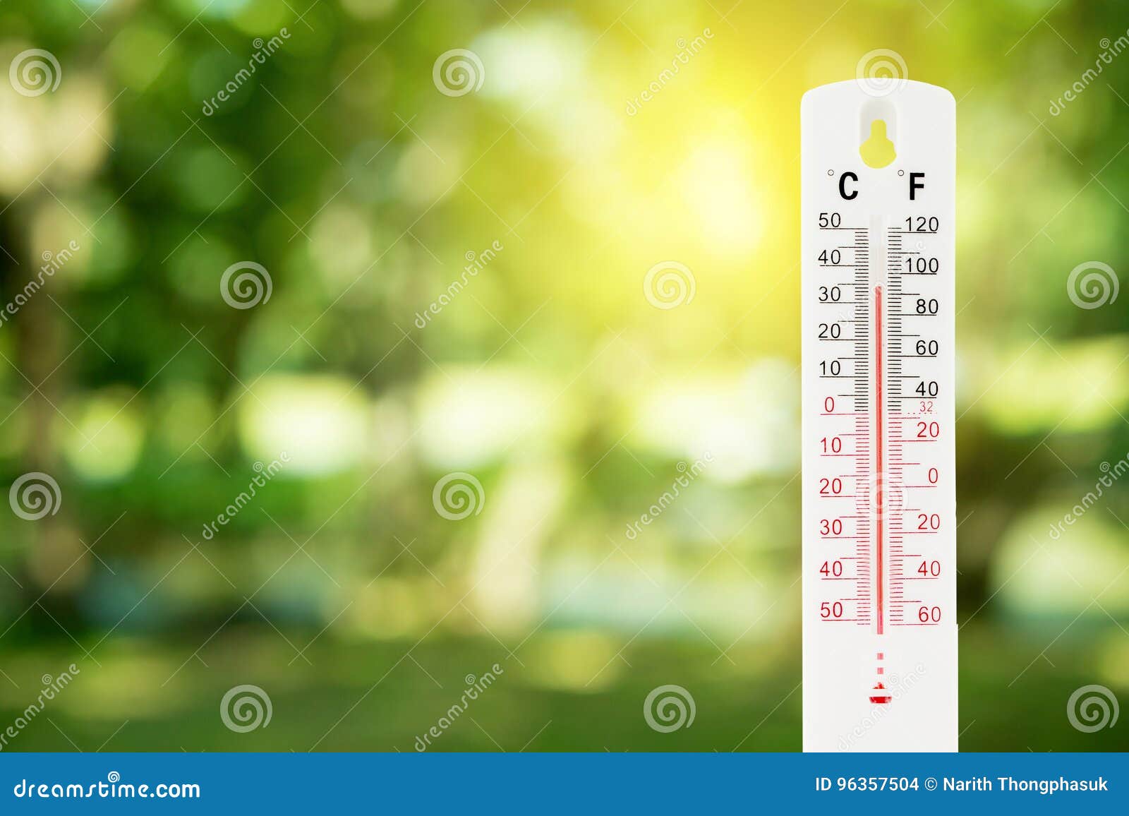 Thermometer on a Green Nature Background and Temperature Measuring ...