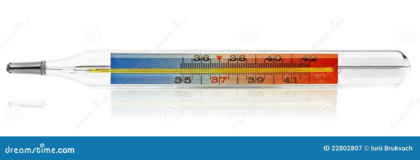 Thermometer medical stock image. Image of white, healthy - 22802807
