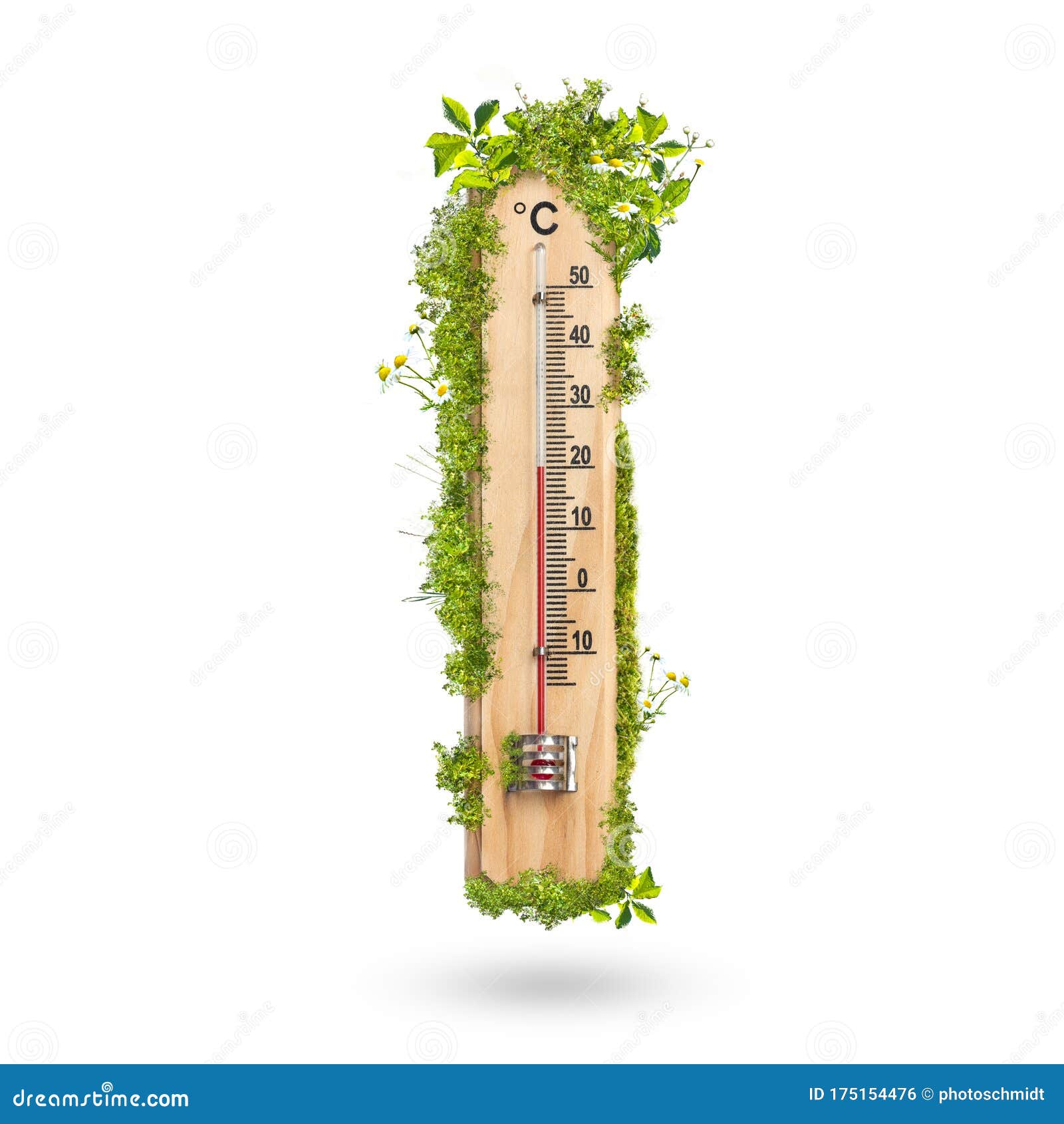Thermometer Overgrown with Spring Time Vegetation Isolated on White ...