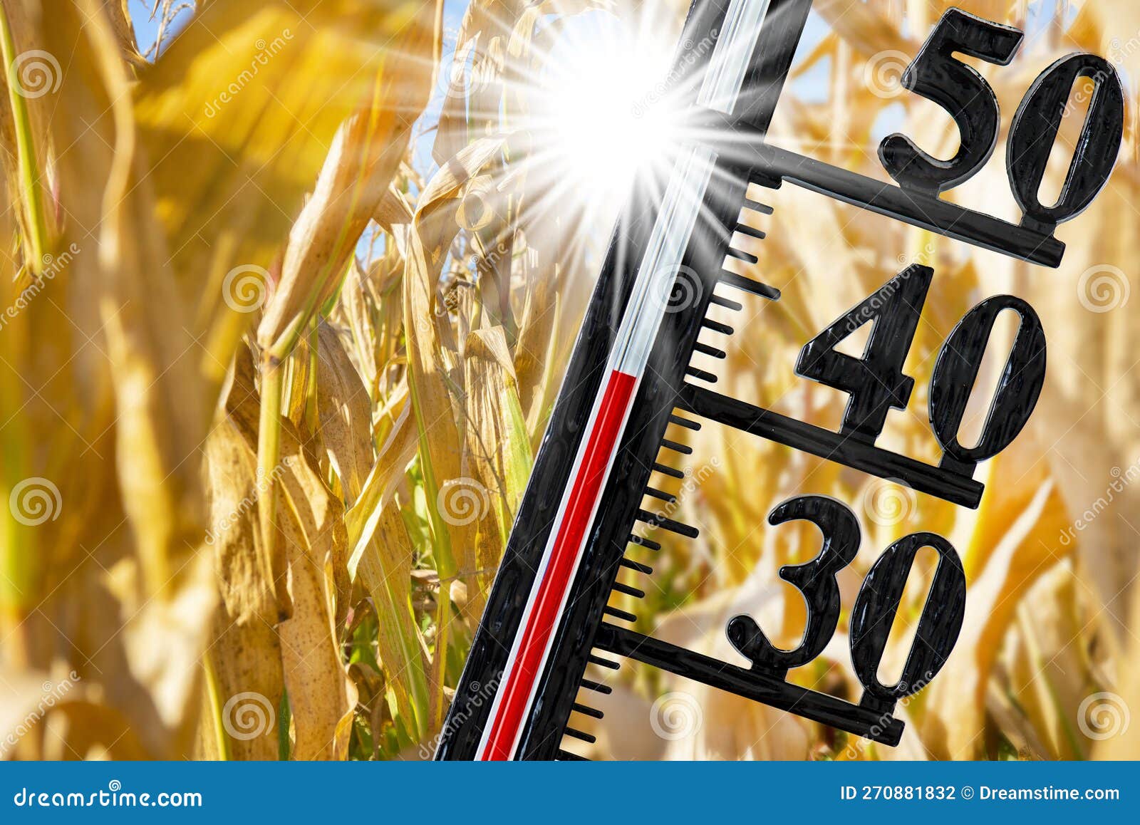 Thermometer Shows High Temperature In Summer Heat With Dryness And Lack ...