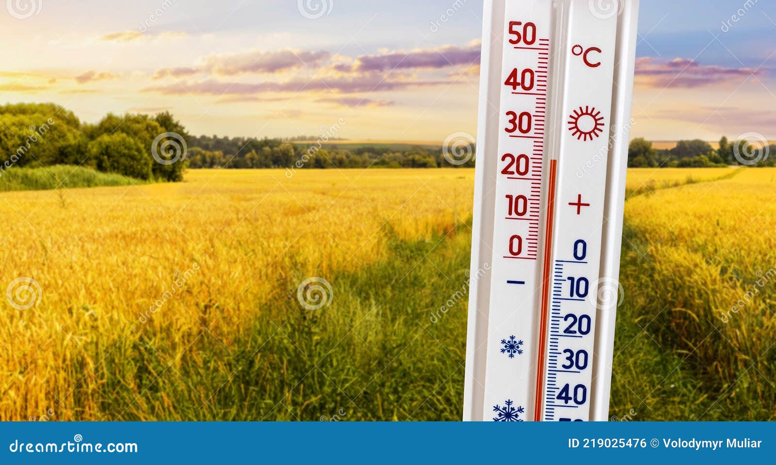 The Thermometer Shows Plus 25 Degrees on the Background of a Wheat ...